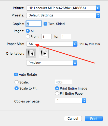 C4. How Can I Print and Create PDFs without Borders? – trainingsportal